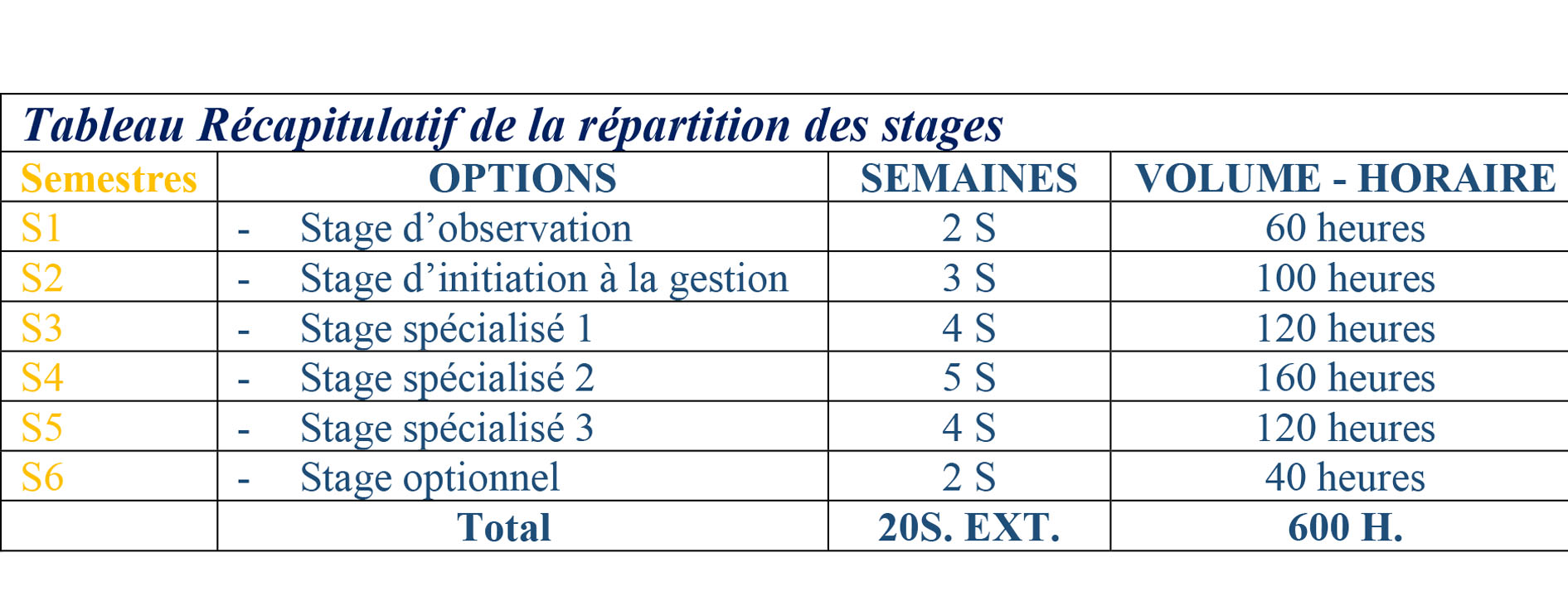 Etudier à l’USF | Université Sainte Famille - Batroun